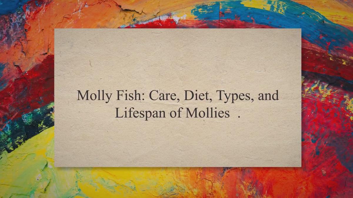 Molly Fish: Care, Diet, Types, and Lifespan of Mollies