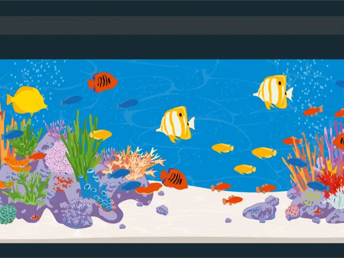 Saltwater Aquarium: Complete Set Up Guide in 8 Steps | Fishkeeping World