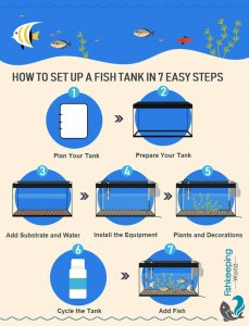How to Set Up a Fish Tank in 7 Easy Steps | Fishkeeping World