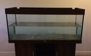 How to Set Up a Fish Tank in 7 Easy Steps | Fishkeeping World