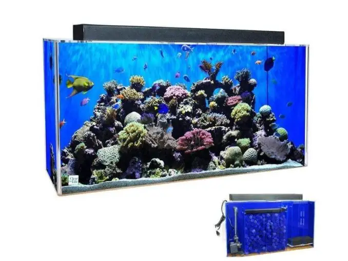 100 Gallon Fish Tanks Reviewed Best 4 | Fishkeeping World