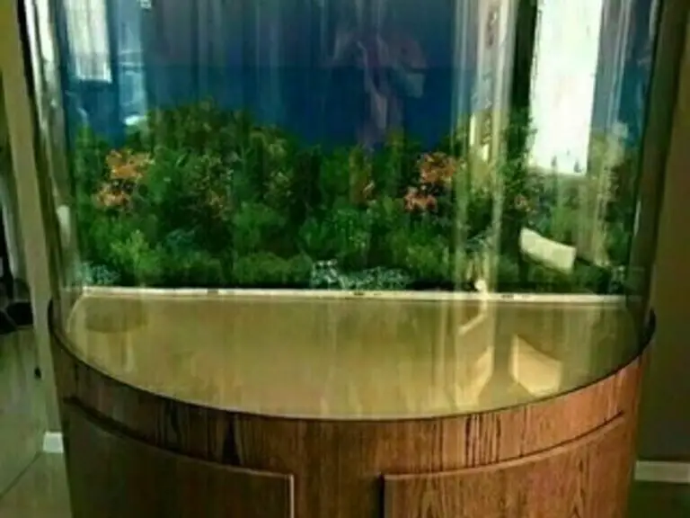 100 Gallon Fish Tanks Reviewed Best 4 | Fishkeeping World