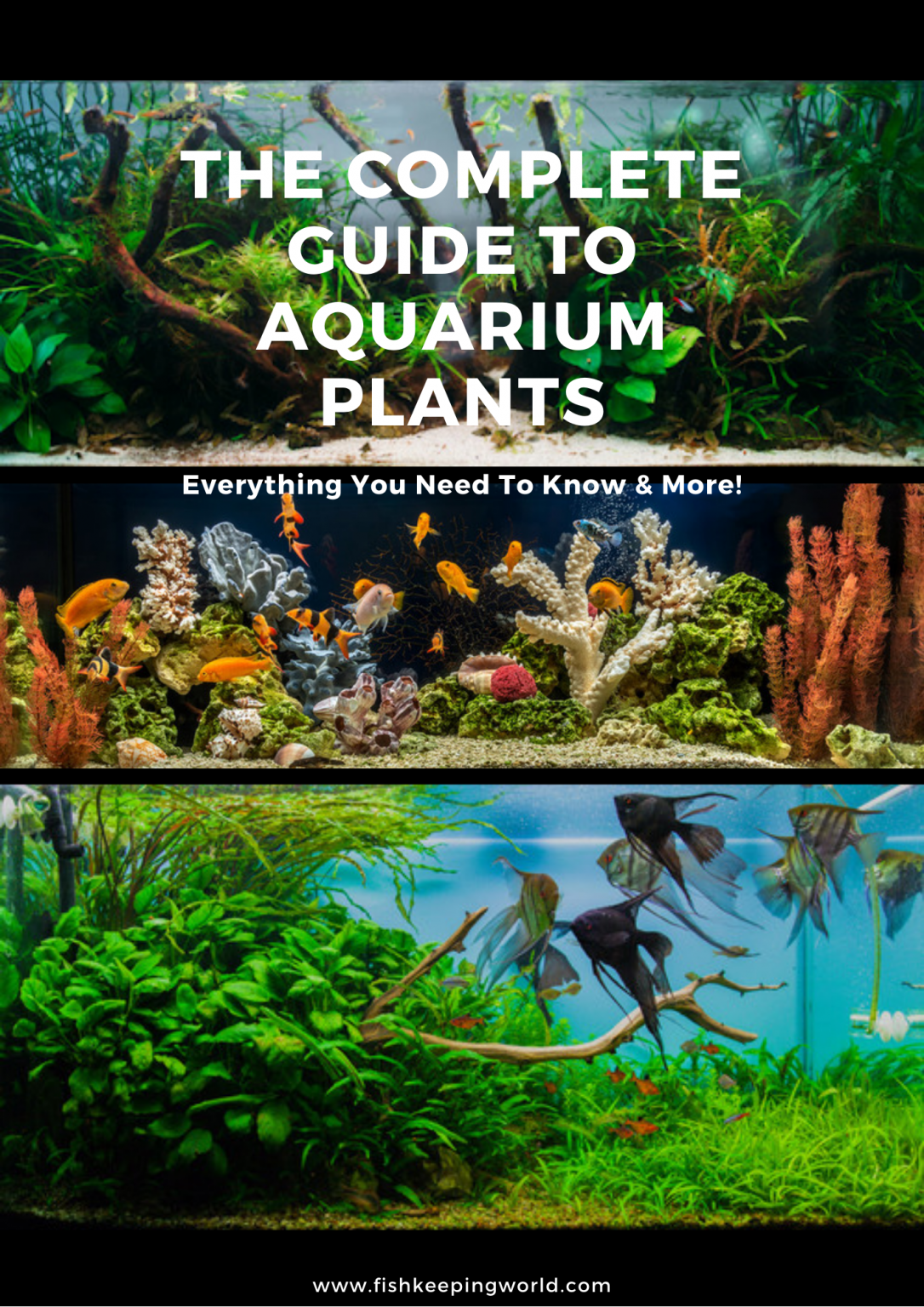 The Complete Guide to Aquarium Plants eBook: Everything You Need To ...