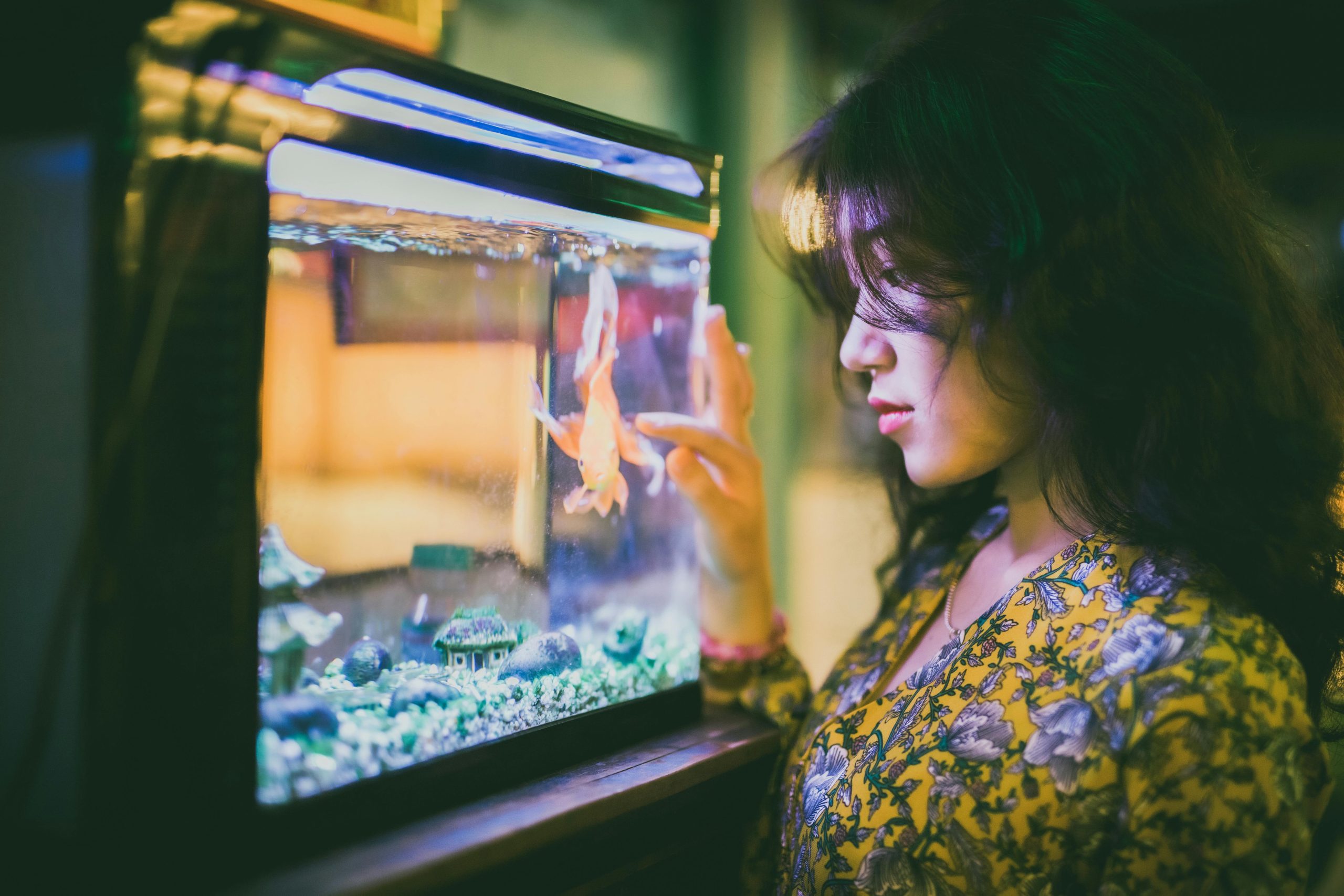 The Unlikely Shared Mentality Between Fishkeepers And Online Casino ...
